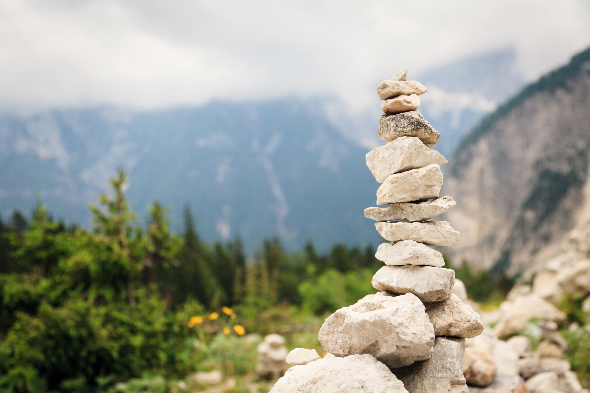 Clinical Psychology Treatments - Sydney | Wise Institute